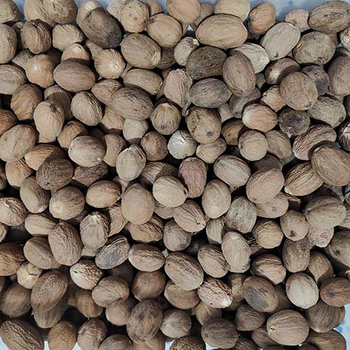 Jaiphal | Effective Gems